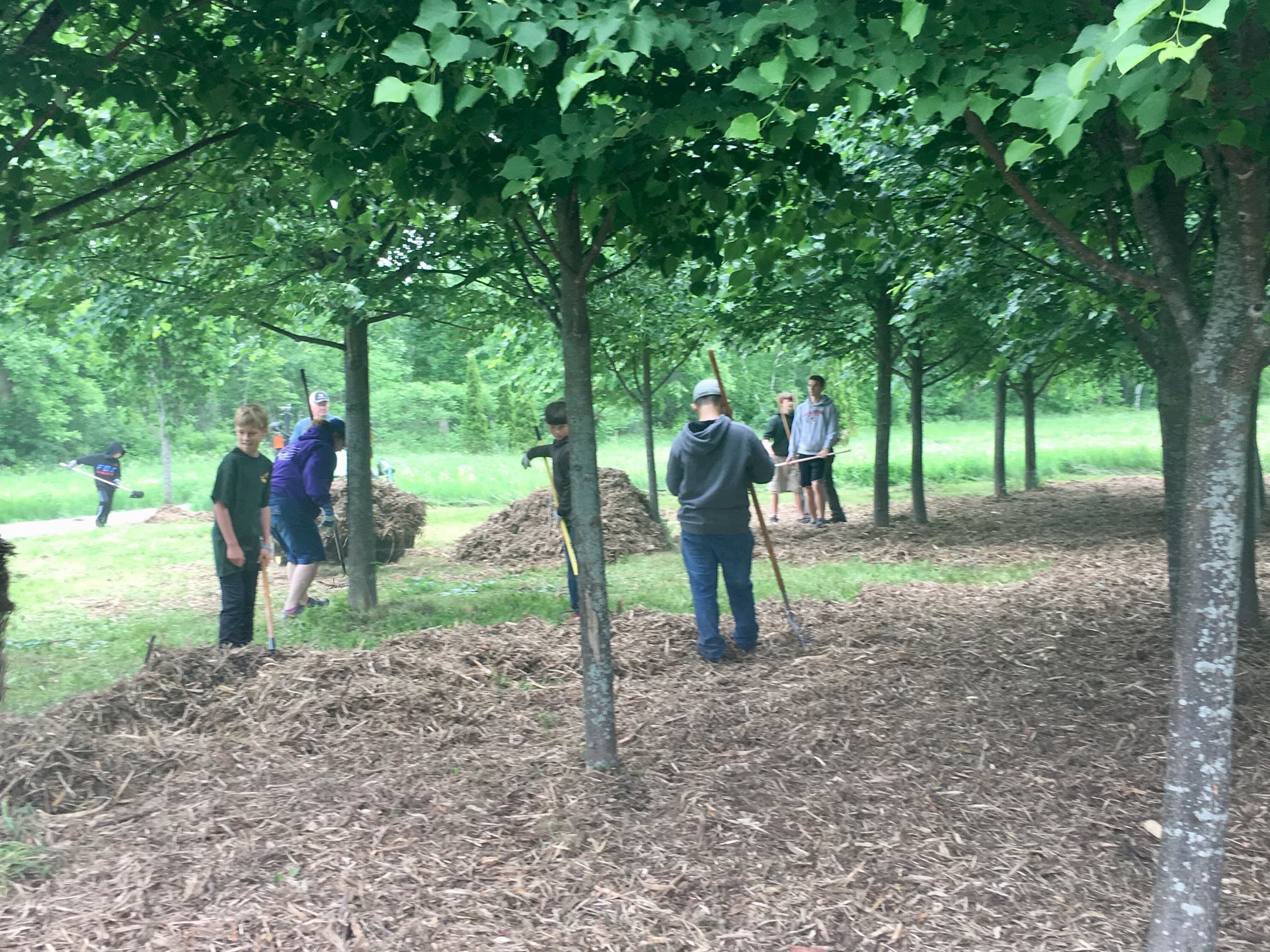 Spring Park Clean Up Day - Town Of Pittsfield